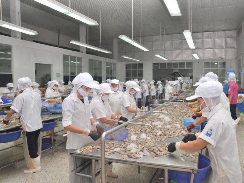 Processing Room - SUHINUS Indonesia